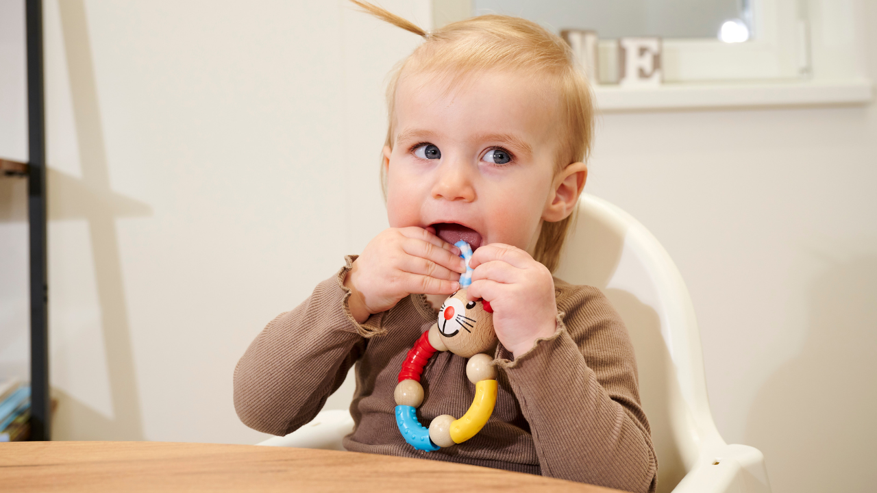 Sentir & comprendre : favoriser le développement sensoriel des enfants